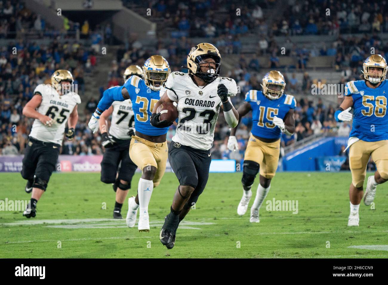 Broussard hi-res stock photography and images - Alamy