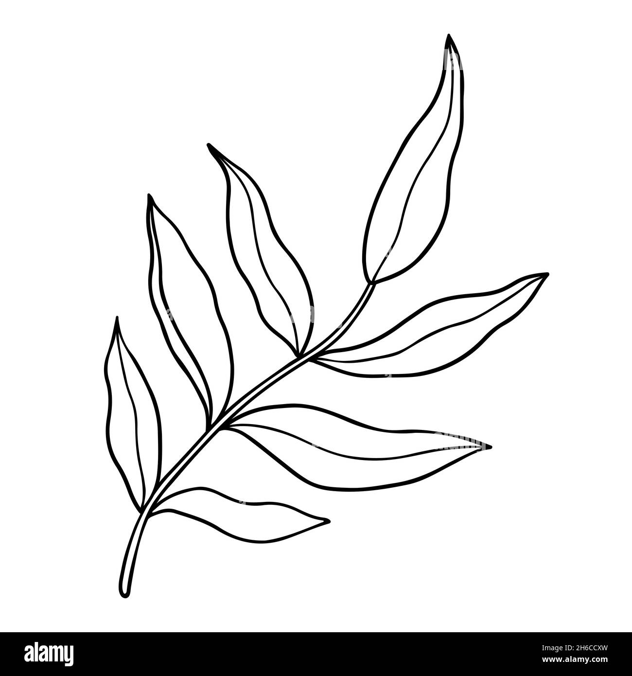 Abstract twig with leaves isolated on a white background. Vector hand ...