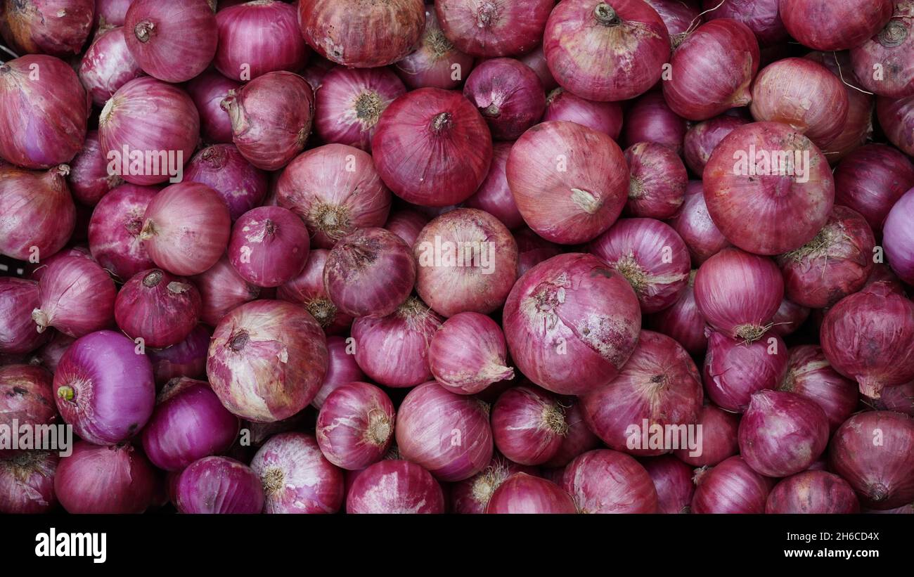 The foundation of flavour: A beautiful red onion, ready to add depth ...