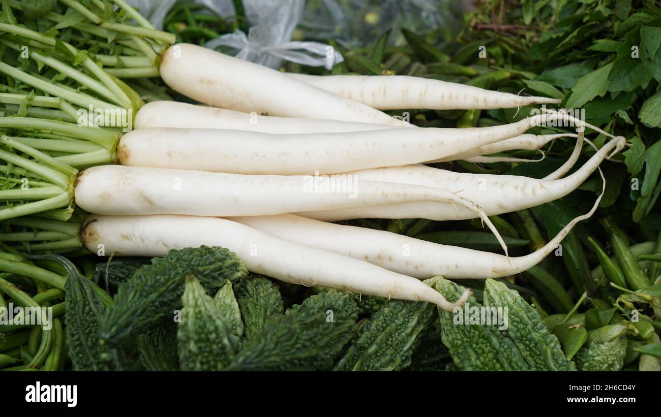 High-Resolution Image: Fresh Radishes (Mooli) at a Vibrant Indian ...