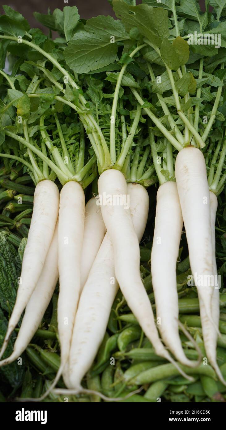 Indian street market hi-res stock photography and images - Alamy