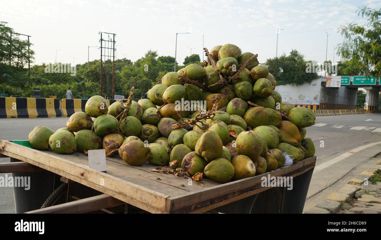High-quality images of raw and ripe coconuts Stock Photo - Alamy