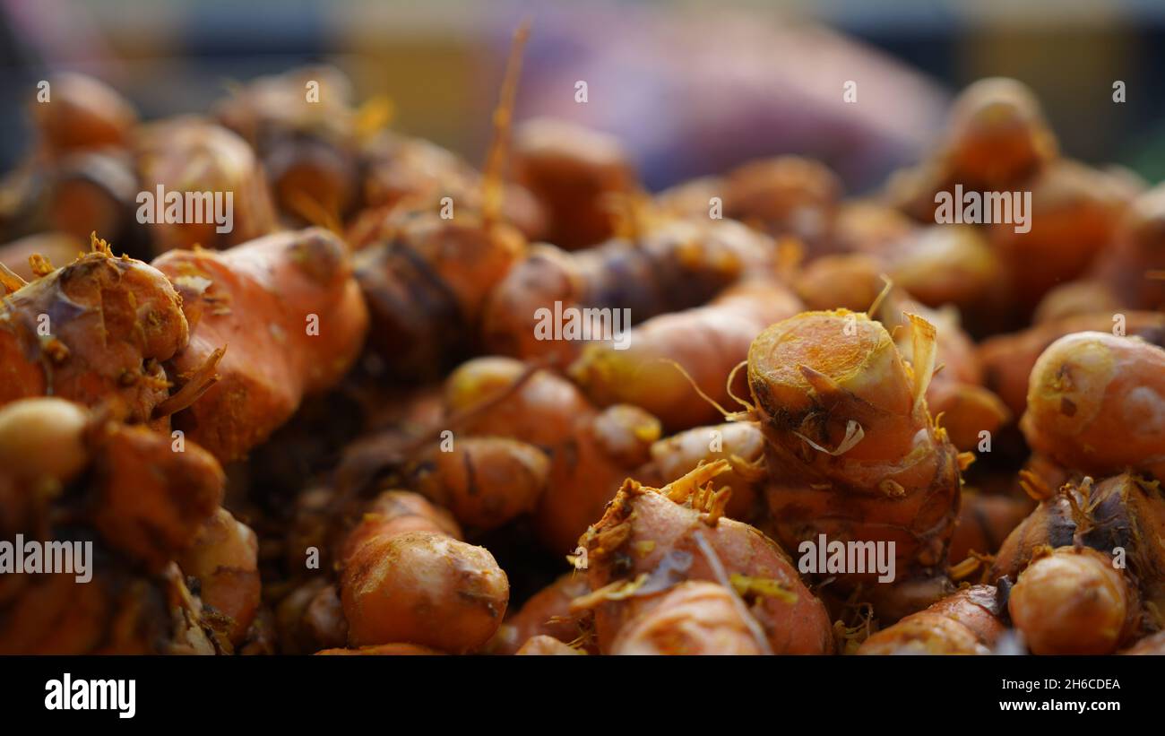 The Golden Spice: A Close-Up Look at Vibrant Turmeric Root . From Root ...