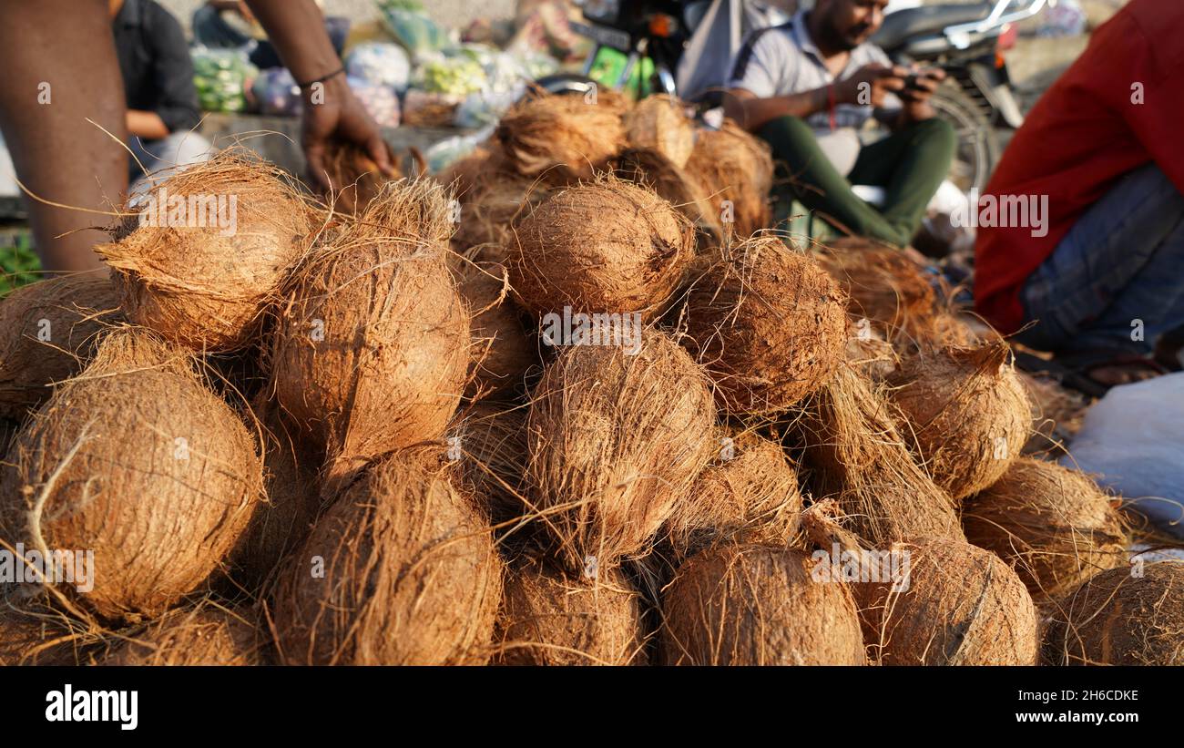 High-quality images of raw and ripe coconuts Stock Photo - Alamy