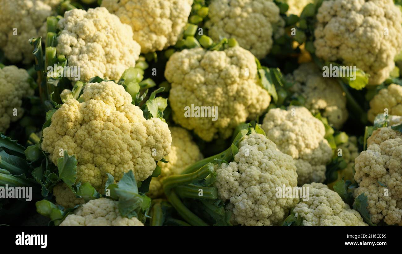 High-Resolution Image: Fresh Cauliflower at a Bustling Indian Market # ...