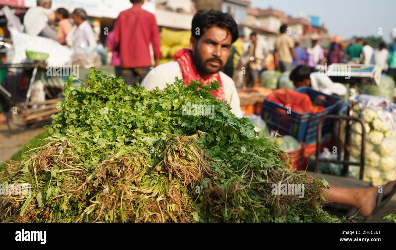 A friendly indian vendor weighing vegetables for a customer hi-res stock photography and images ...