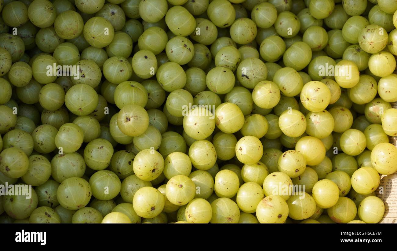 This high-resolution image showcases the process of Amla (Phyllanthus ...