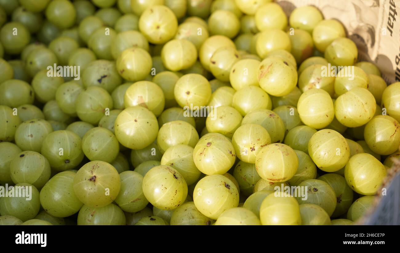 This high-resolution image showcases the process of Amla (Phyllanthus ...