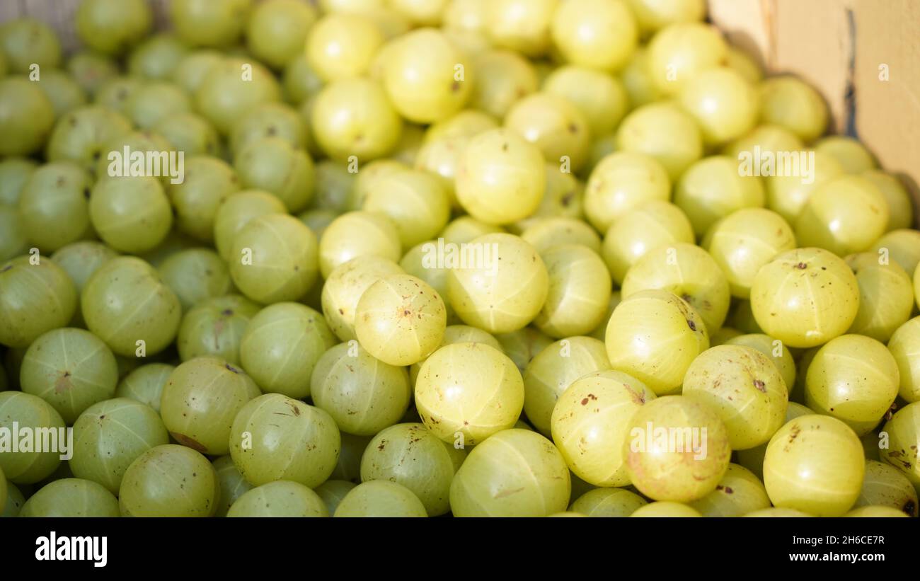 Ayurvedic indian hi-res stock photography and images - Alamy