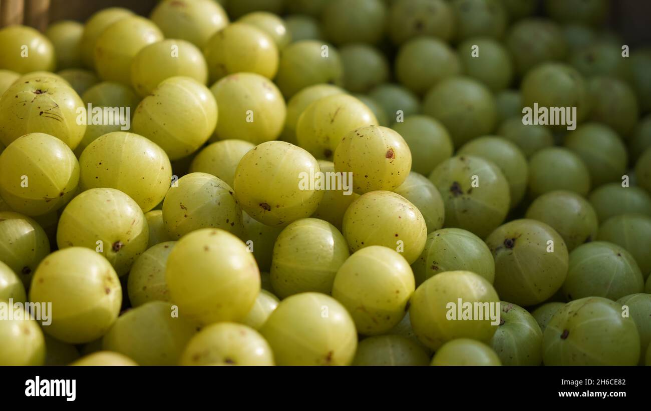 This high-resolution image showcases the process of Amla (Phyllanthus ...
