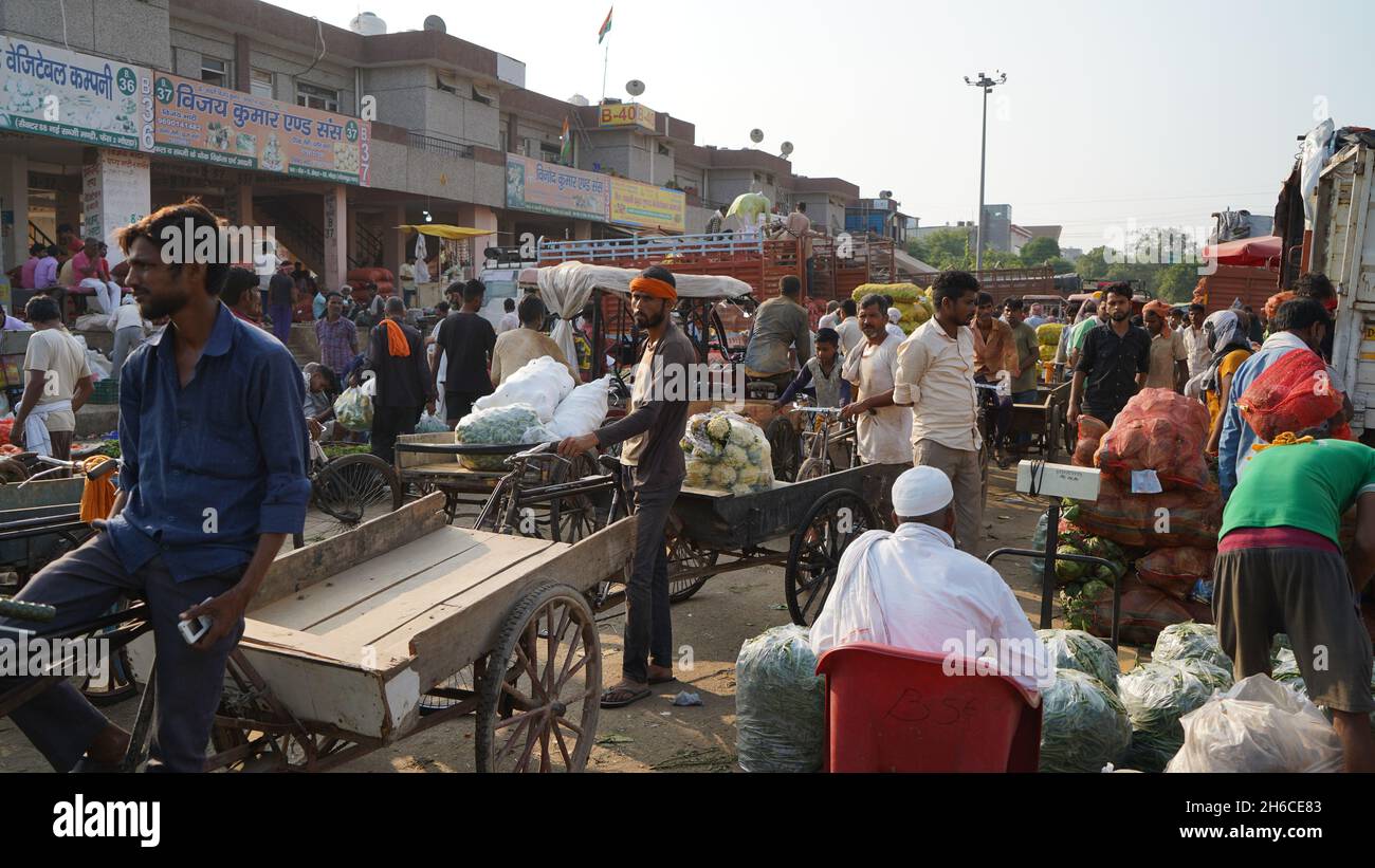 Picking the perfect seasonal produce at the local Noida market. # ...