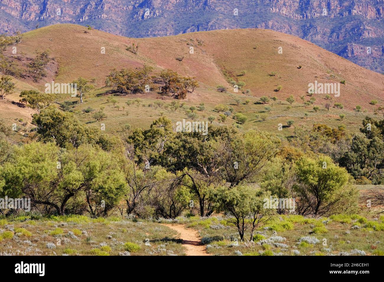 The remote Flinders Ranges in South Australia Stock Photo - Alamy