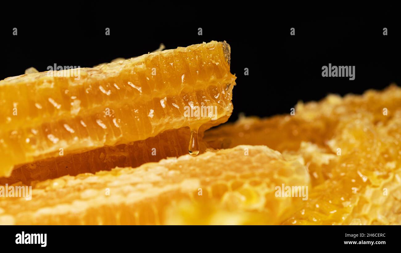Honeycomb slice close-up on black background. Drop of honey on ...