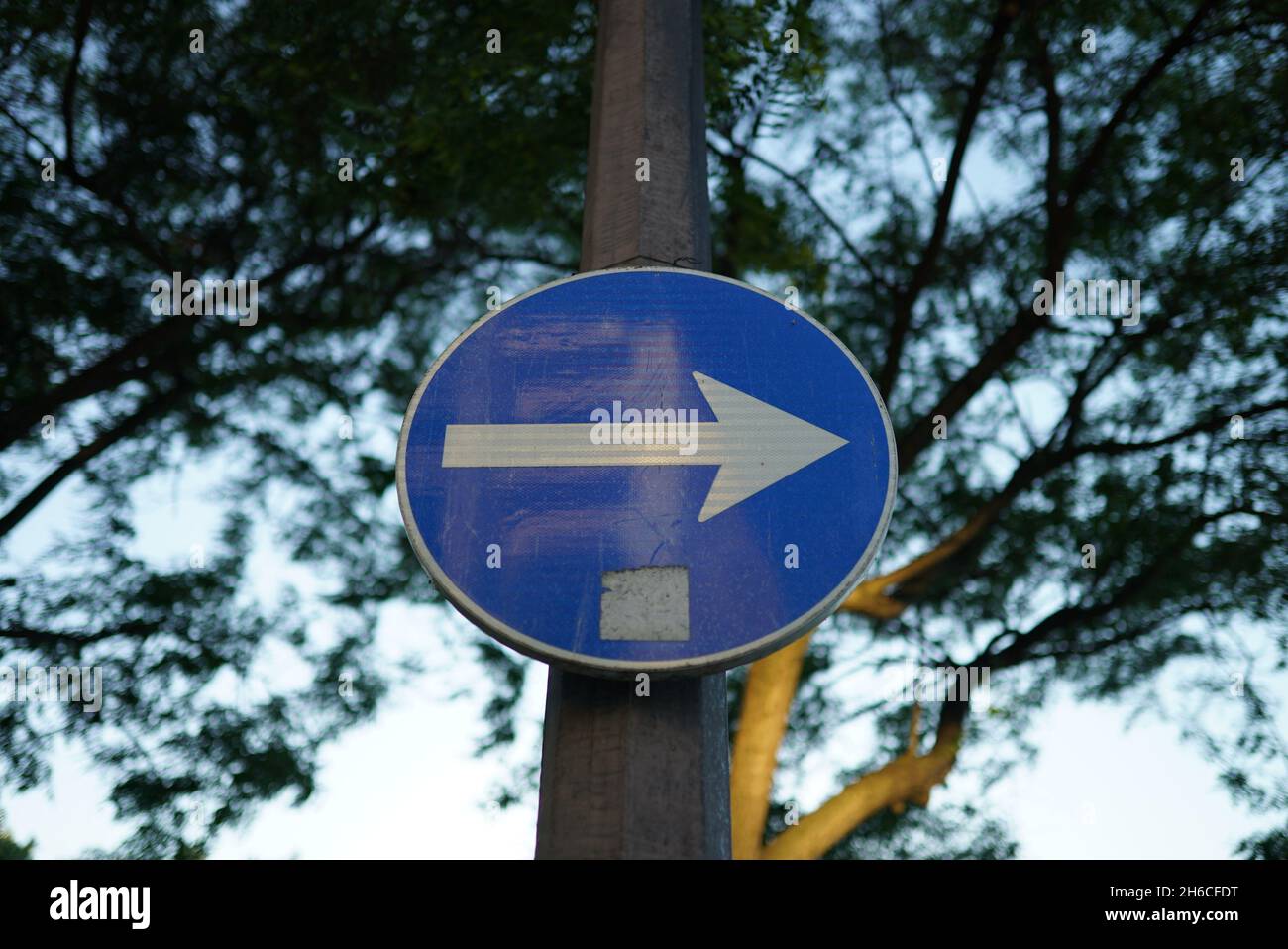 Closeup of an arrow sign post in the park Stock Photo - Alamy