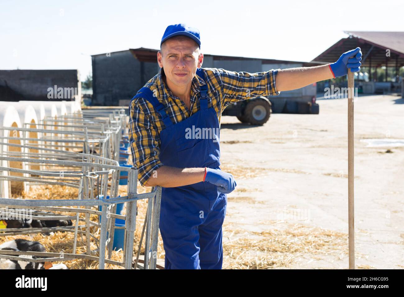 Successful man dairy farm hi-res stock photography and images - Alamy