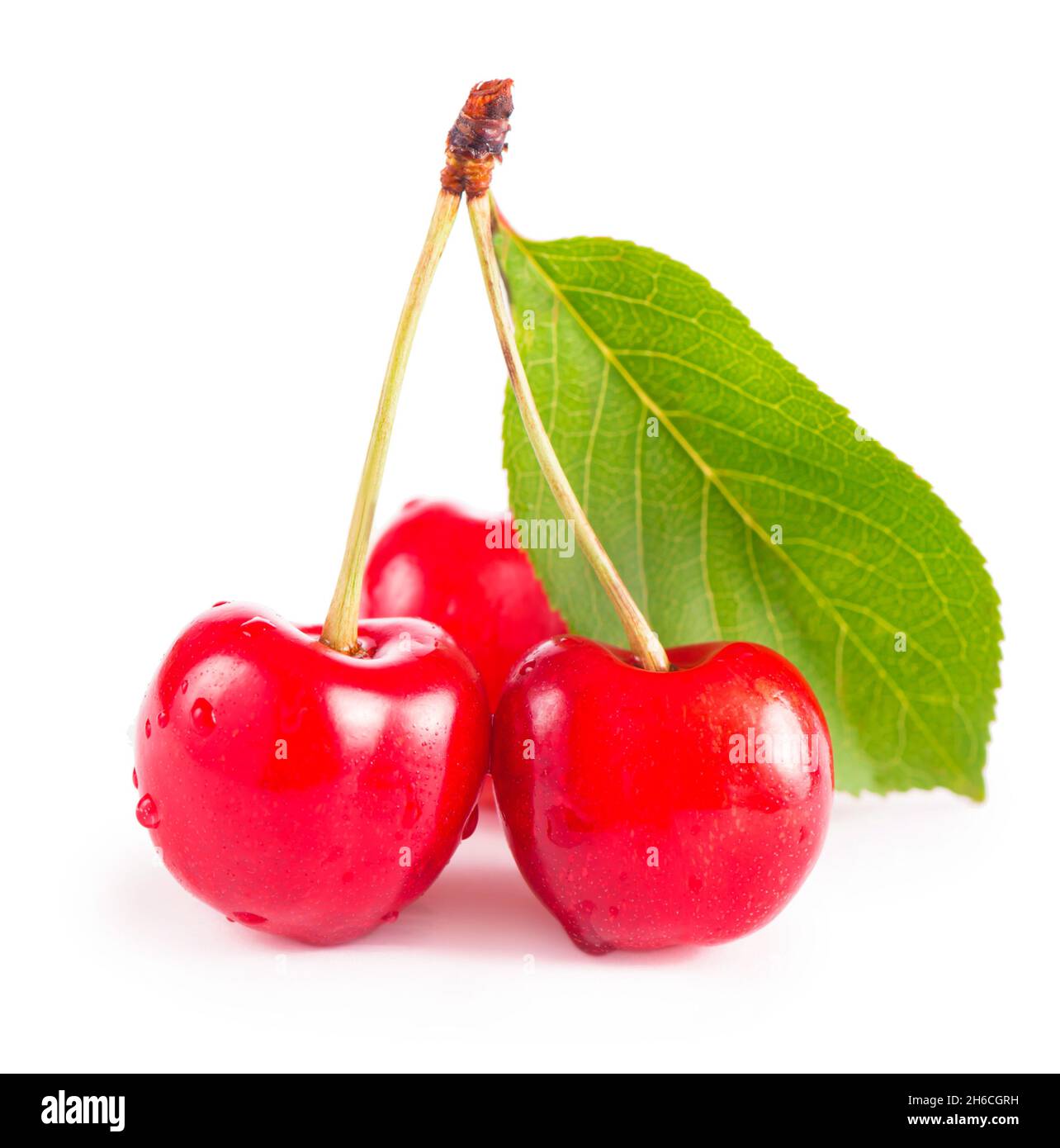 Ripe fresh red cherry isolated on white background. With clipping path ...