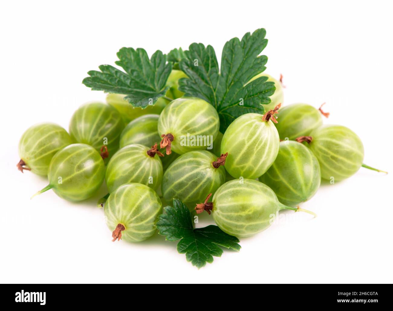 green gooseberry fruits with leaf on white Stock Photo - Alamy