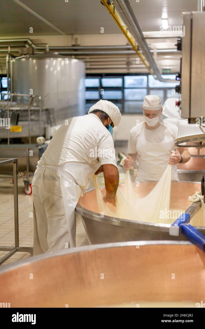 Parmesan Rarmigiano Reggiano italian cheese manufacturing at dairy farm ...