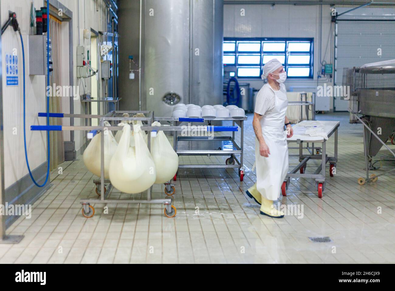 Parmesan Rarmigiano Reggiano italian cheese manufacturing at dairy farm ...