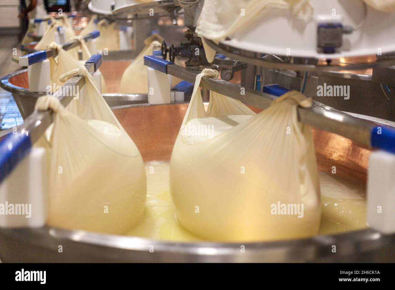 Parmesan Rarmigiano Reggiano italian cheese manufacturing at dairy farm ...
