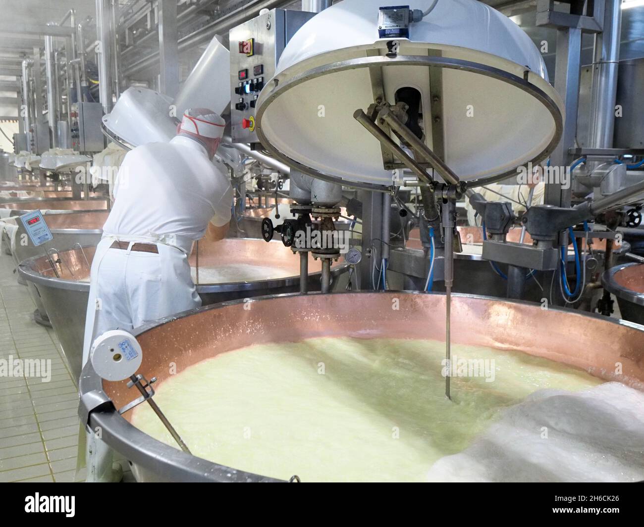 Manufacturing Parmigiano Reggiano parmesan cheese in 2064 diary farm in ...