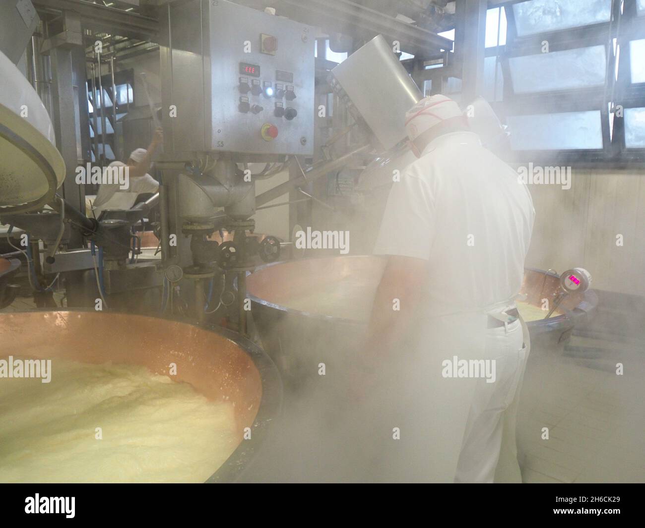 Manufacturing Parmigiano Reggiano parmesan cheese in 2064 diary farm in ...