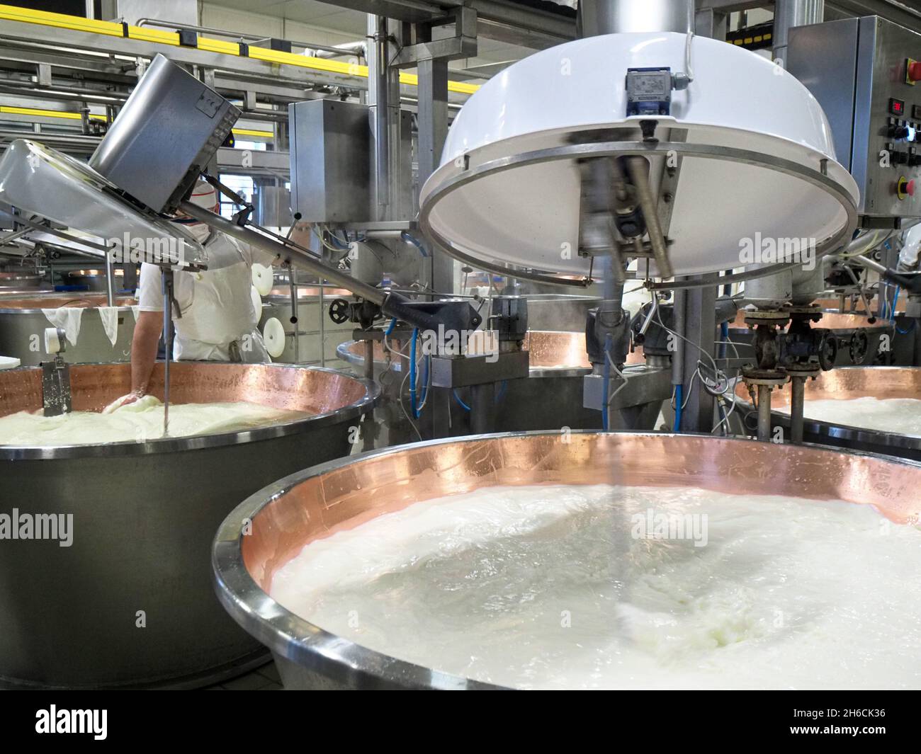 Manufacturing Parmigiano Reggiano parmesan cheese in 2064 diary farm in ...
