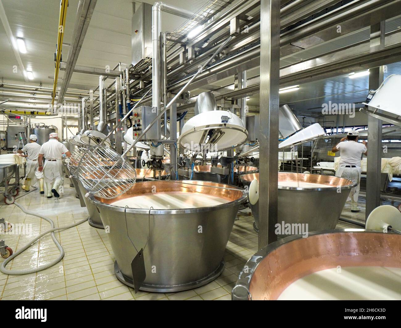 Manufacturing Parmigiano Reggiano parmesan cheese in 2064 diary farm in ...
