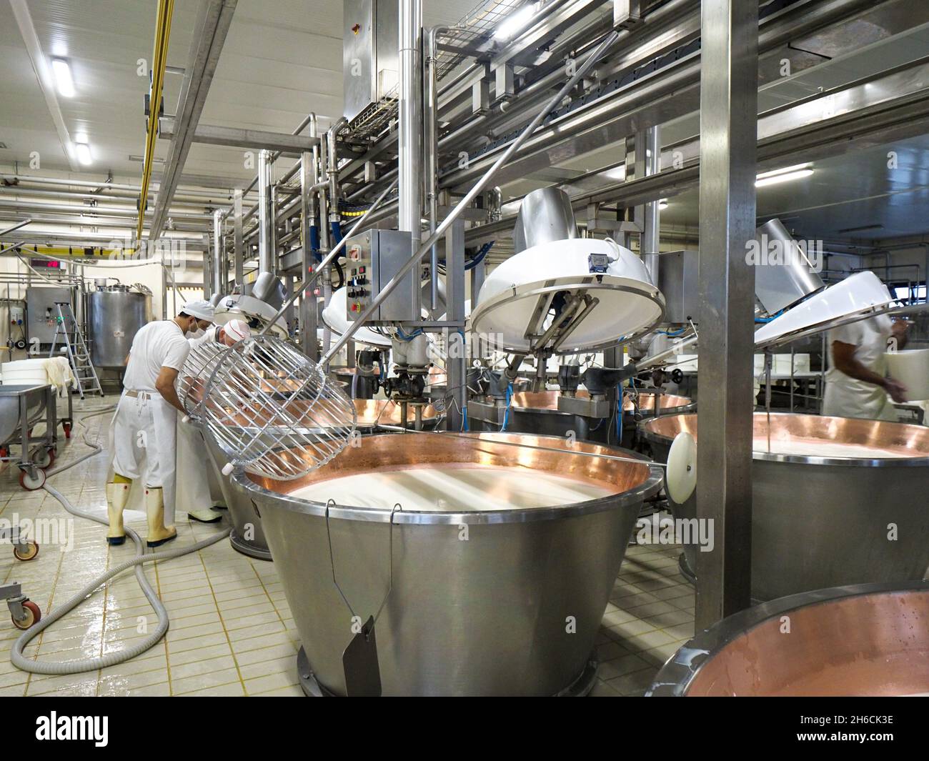 Manufacturing Parmigiano Reggiano parmesan cheese in 2064 diary farm in ...