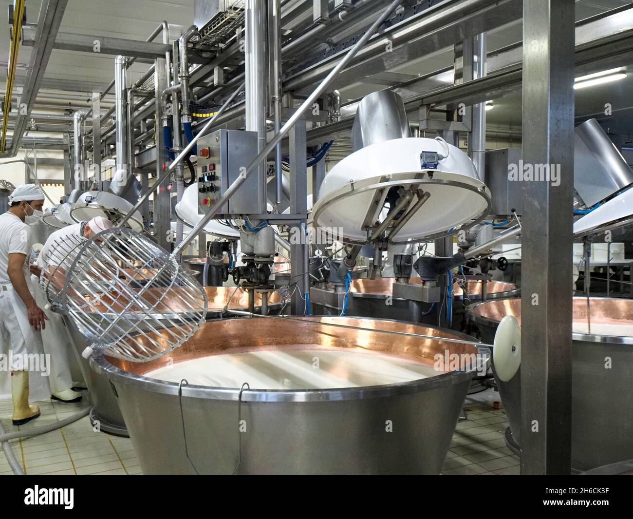 Manufacturing Parmigiano Reggiano parmesan cheese in 2064 diary farm in ...