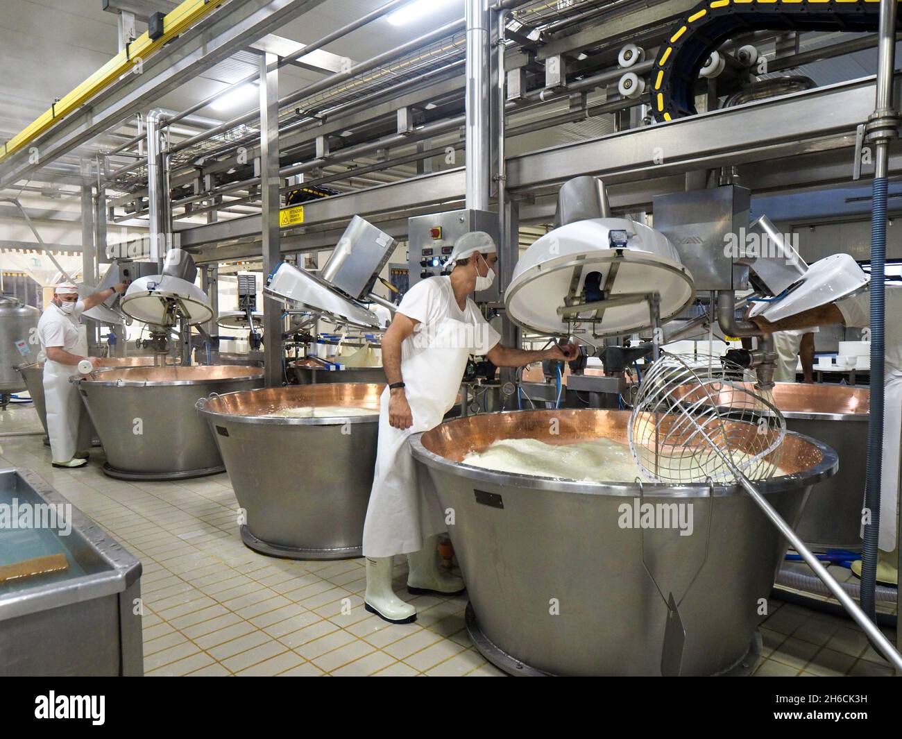 Manufacturing Parmigiano Reggiano parmesan cheese in 2064 diary farm in ...