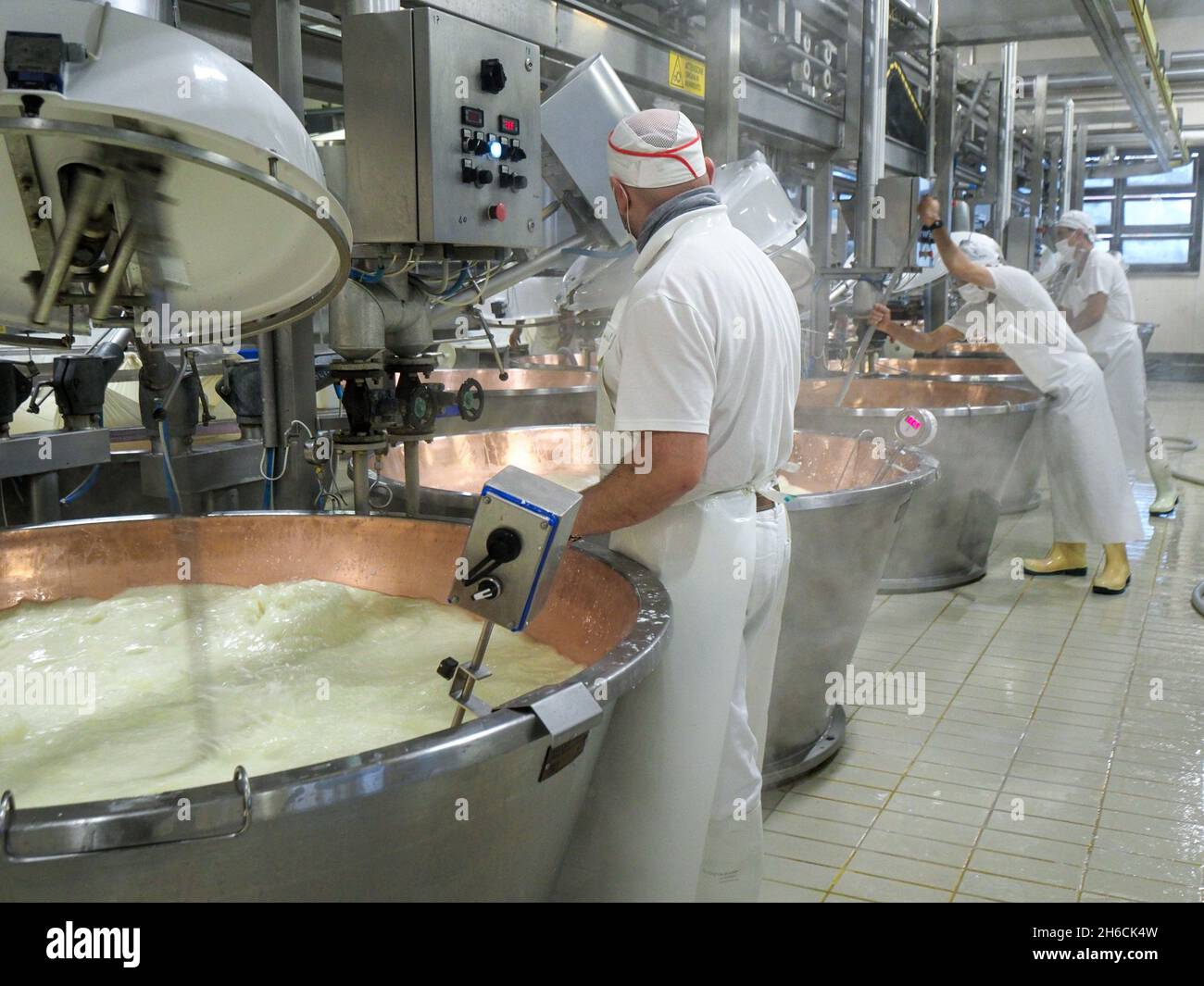 Manufacturing Parmigiano Reggiano parmesan cheese in 2064 diary farm in ...