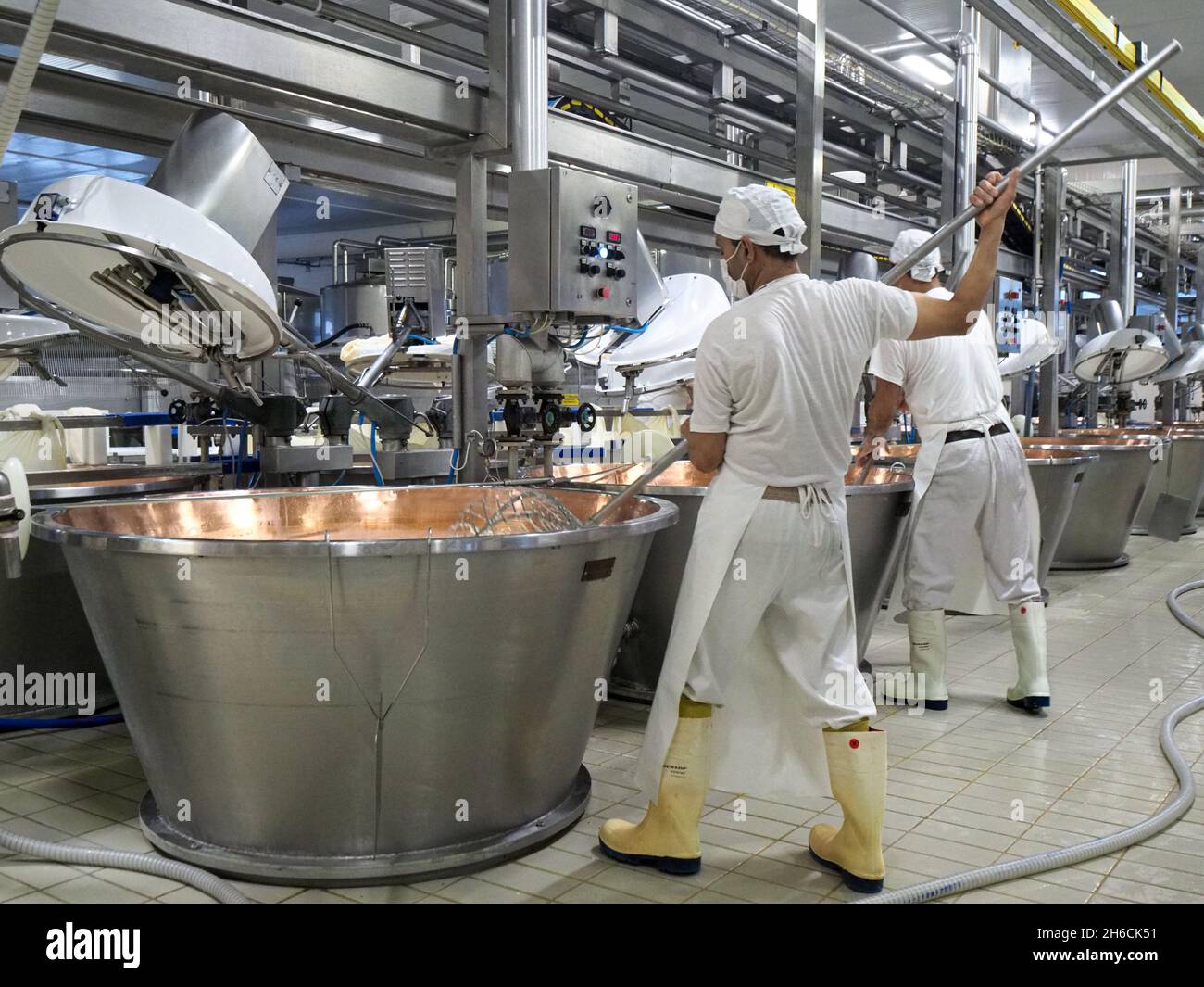 Manufacturing Parmigiano Reggiano parmesan cheese in 2064 diary farm in ...