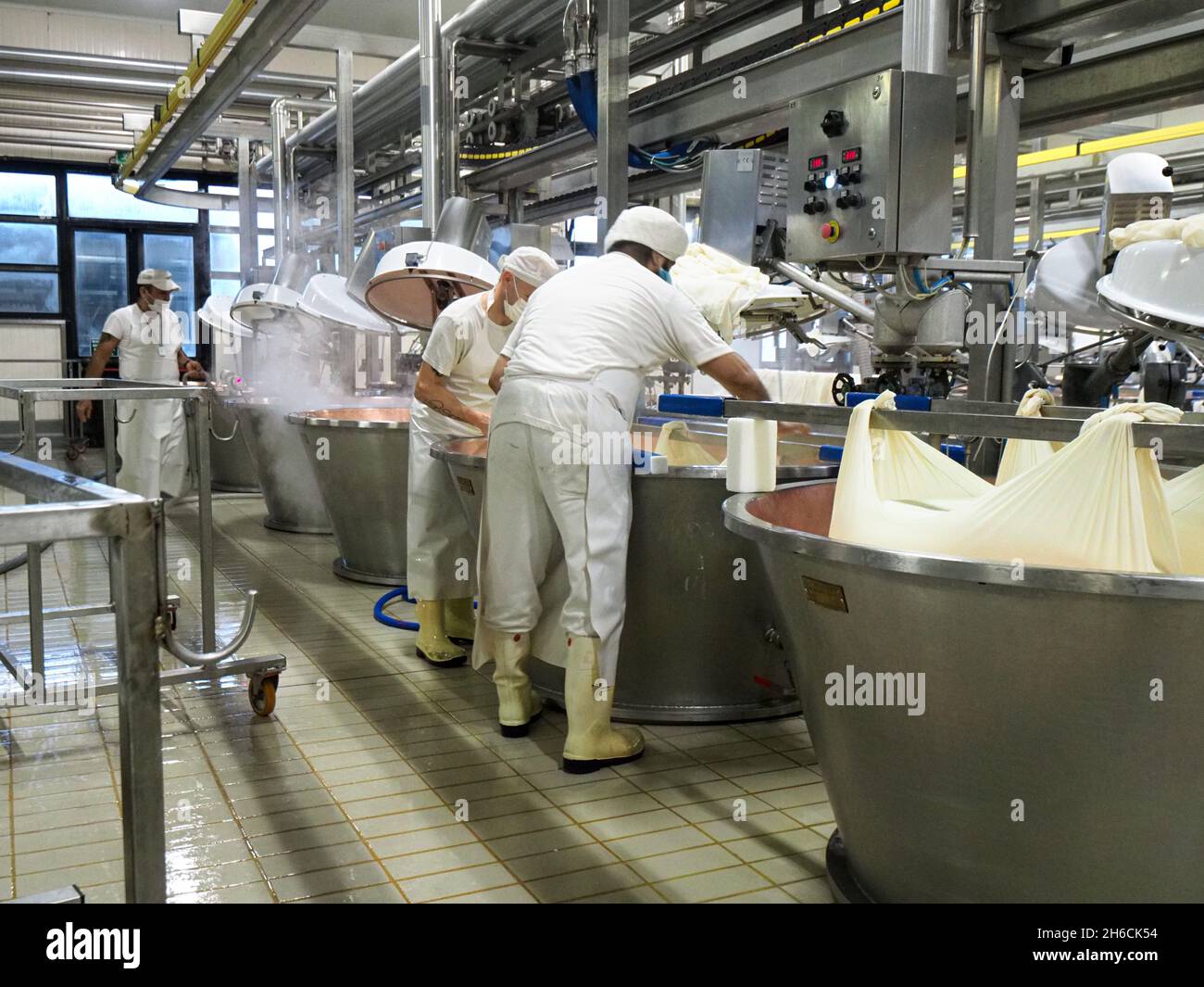 Manufacturing Parmigiano Reggiano parmesan cheese in 2064 diary farm in ...