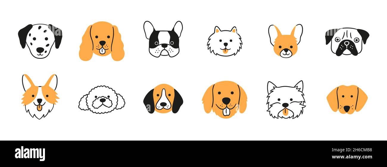 Faces of different breeds dogs set. Corgi, Beagle, Spitz Chihuahua ...