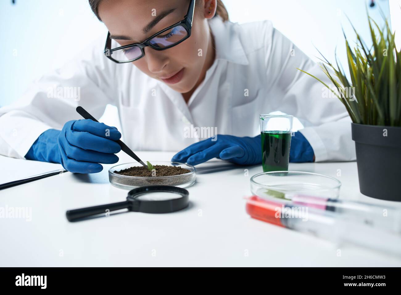 female doctor analysis biotechnology research medicine Studio Stock ...