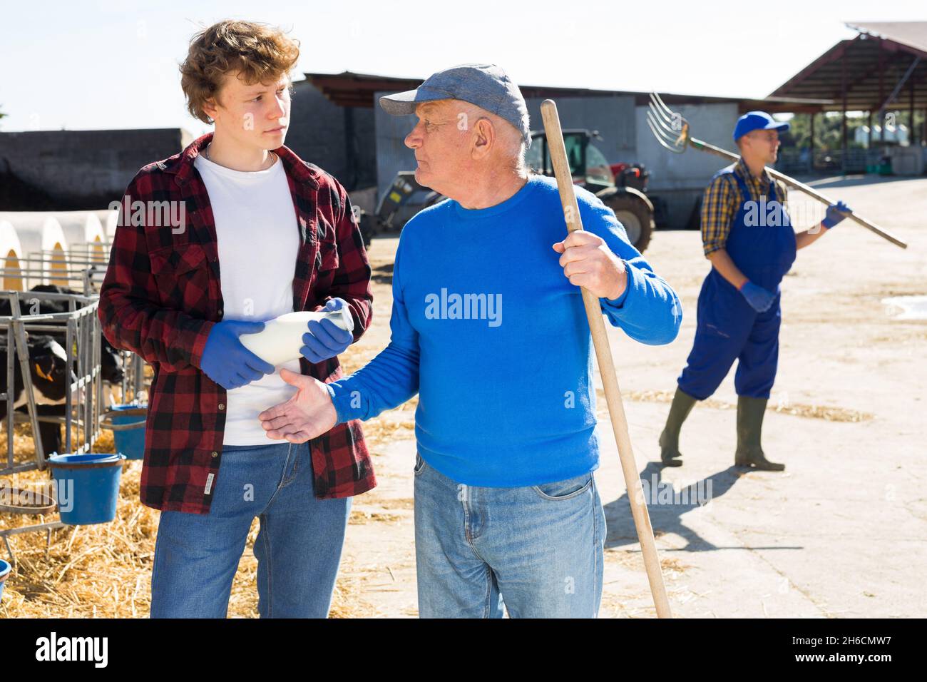 Experienced dairy farm owner teaching young worker Stock Photo - Alamy