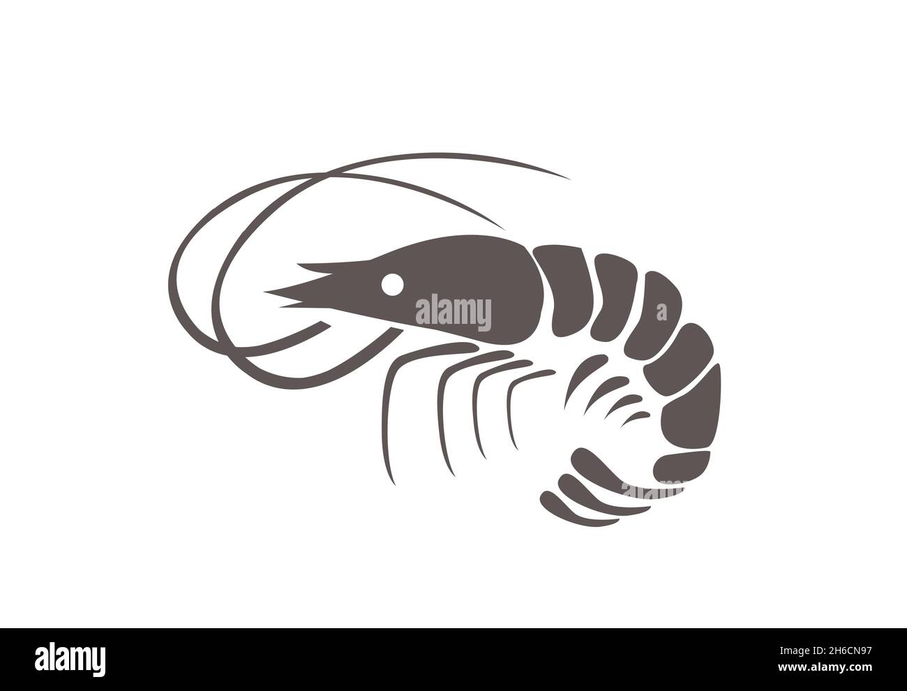 Shrimp vector illustration on white Stock Vector Image & Art - Alamy