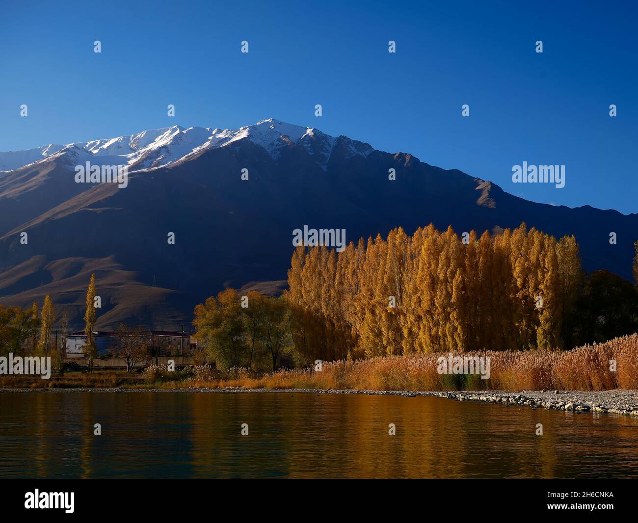 A very beautiful view of snowed Artos Mountain and poplar trees with ...