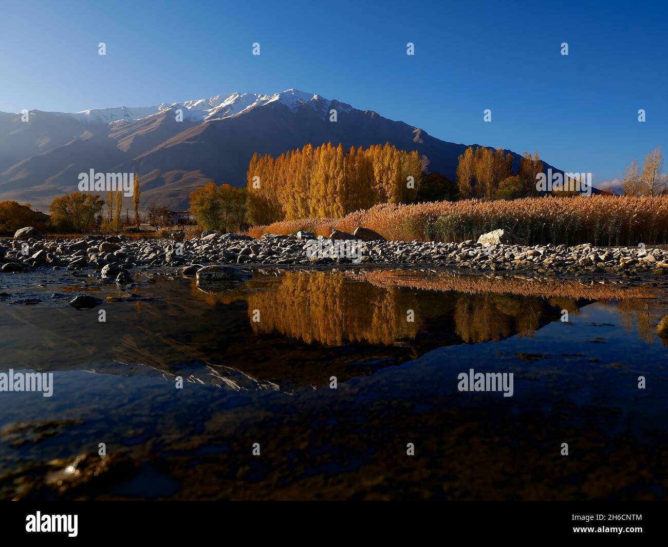 A very beautiful view of snowed Artos Mountain and poplar trees with ...