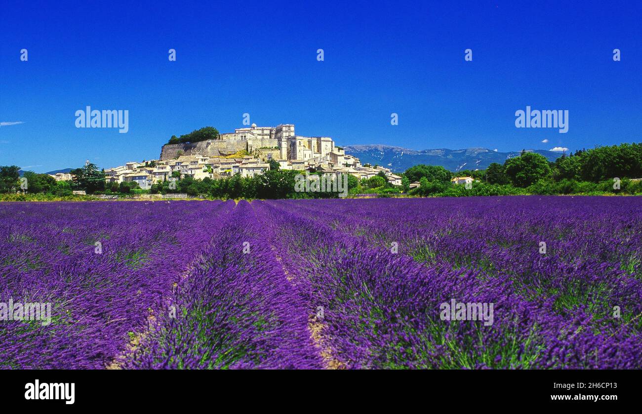 Drome provencale hi-res stock photography and images - Alamy