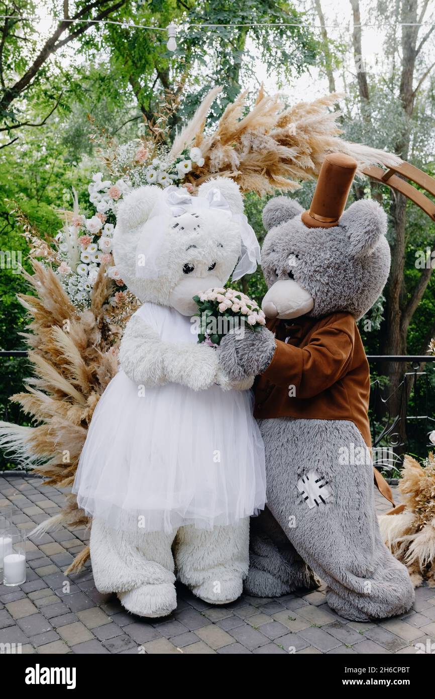 Teddy Bear Marriage