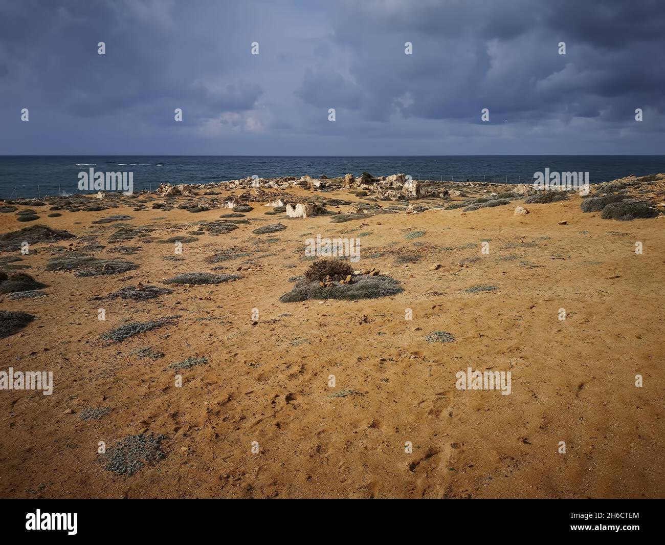 Landscape of Paphos, Cyprus. Bright yellow sand, small desert flora ...