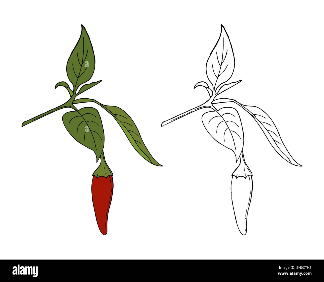Chili pepper hand drawing doodling style Stock Vector Images - Alamy