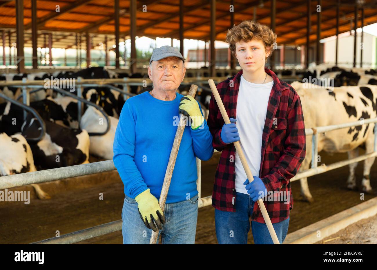 Teenage breeder hi-res stock photography and images - Alamy