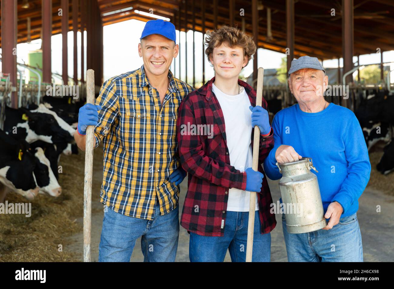 Three milk farm workers in cowhouse Stock Photo - Alamy