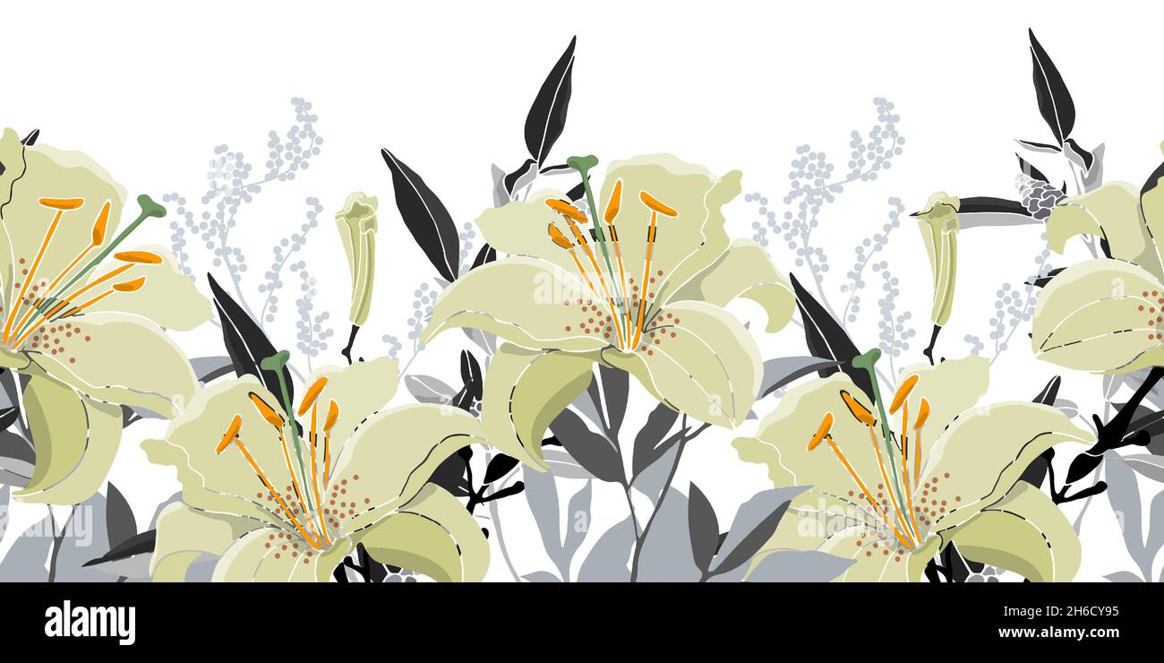 Lilium garden border Stock Vector Images - Alamy