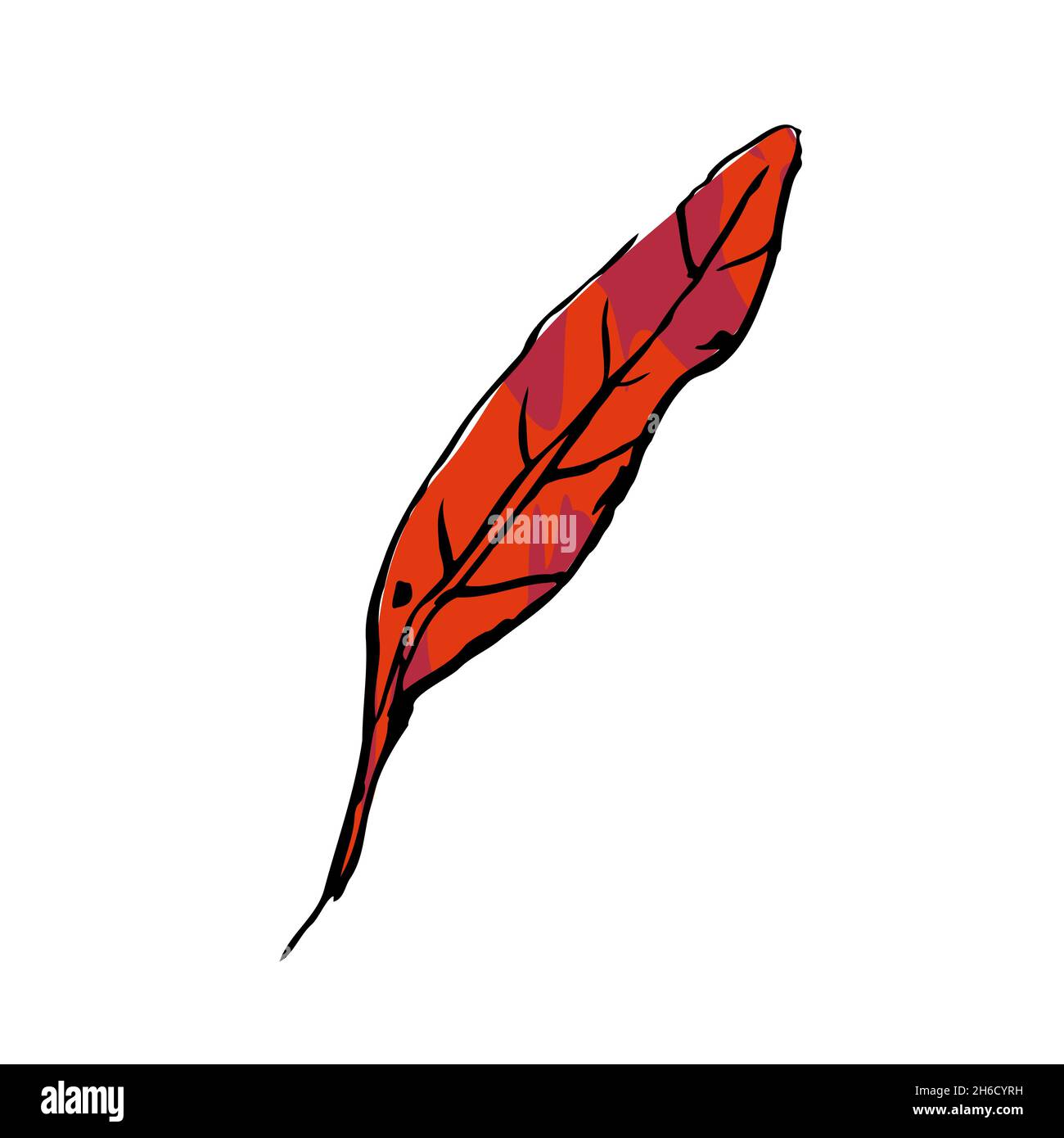 Autumn sketch red color leaf. Hand-drawn line textured herb on white ...