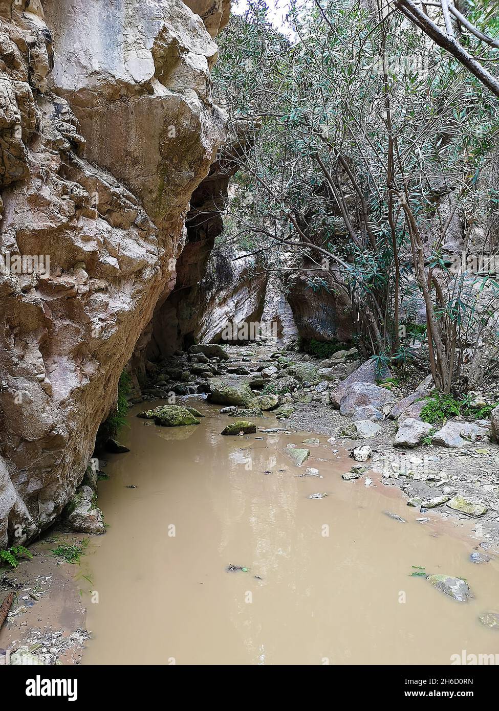 Vertical shot of the popular canyon, a tourist attraction in Paphos ...