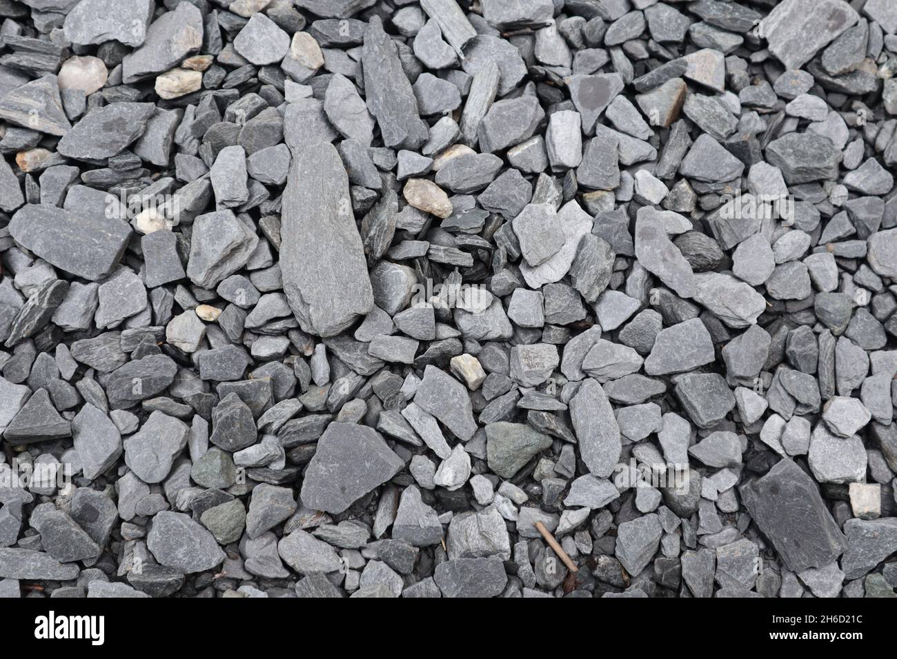 Gray slate rocks piece texture - great for backgrounds Stock Photo - Alamy